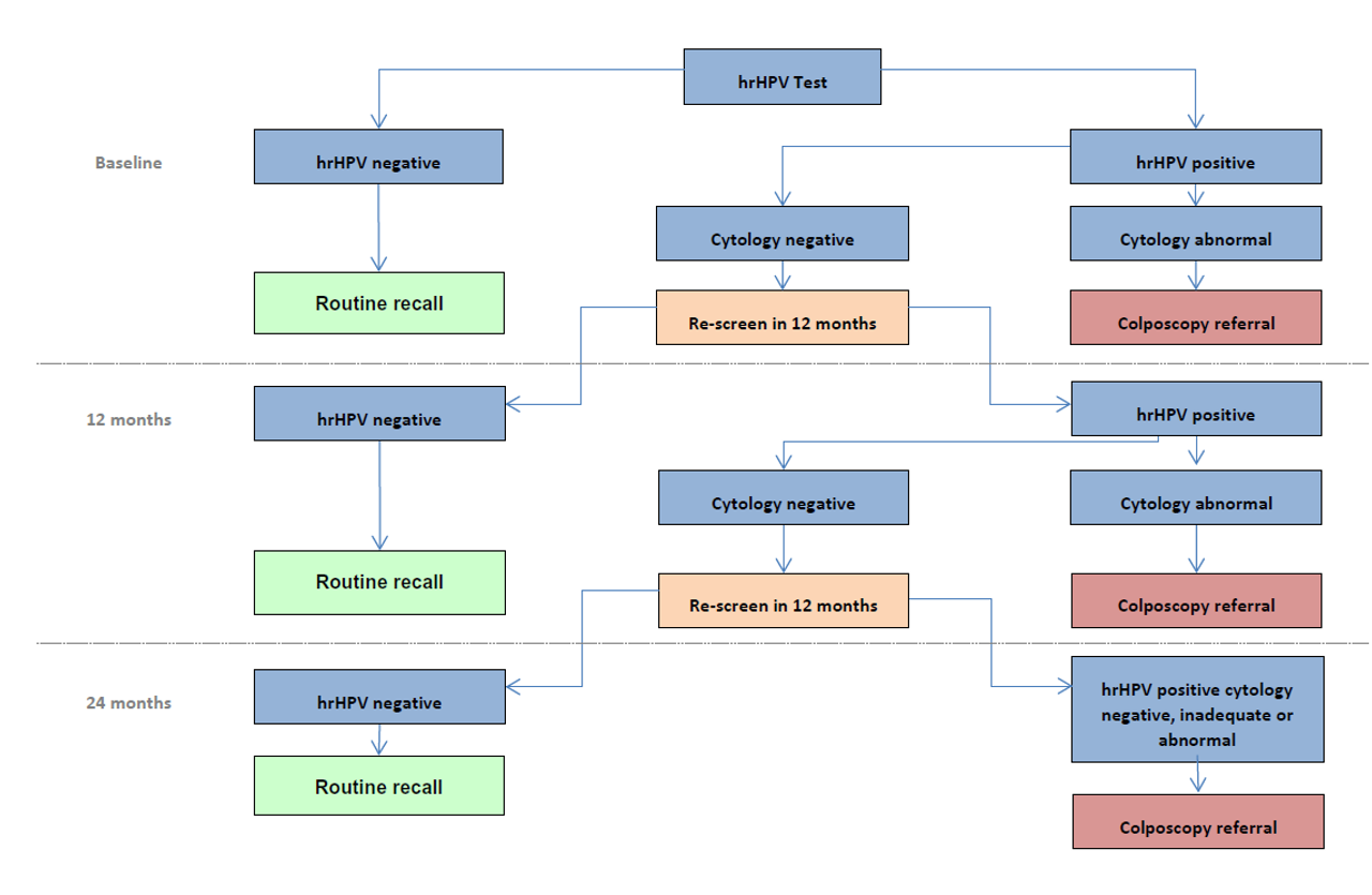Cervical screening protocol using HPV as the primary screening test ...