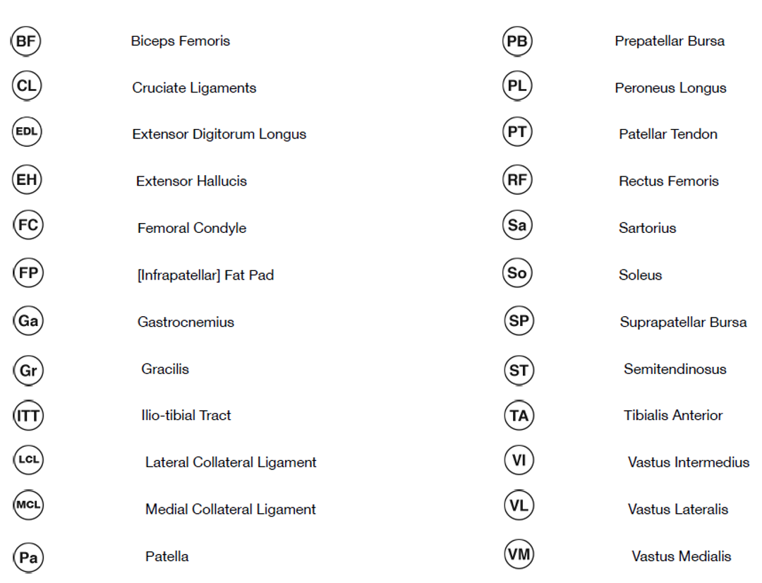 Lateral approach - aspiration or injection of the knee joint – GPnotebook