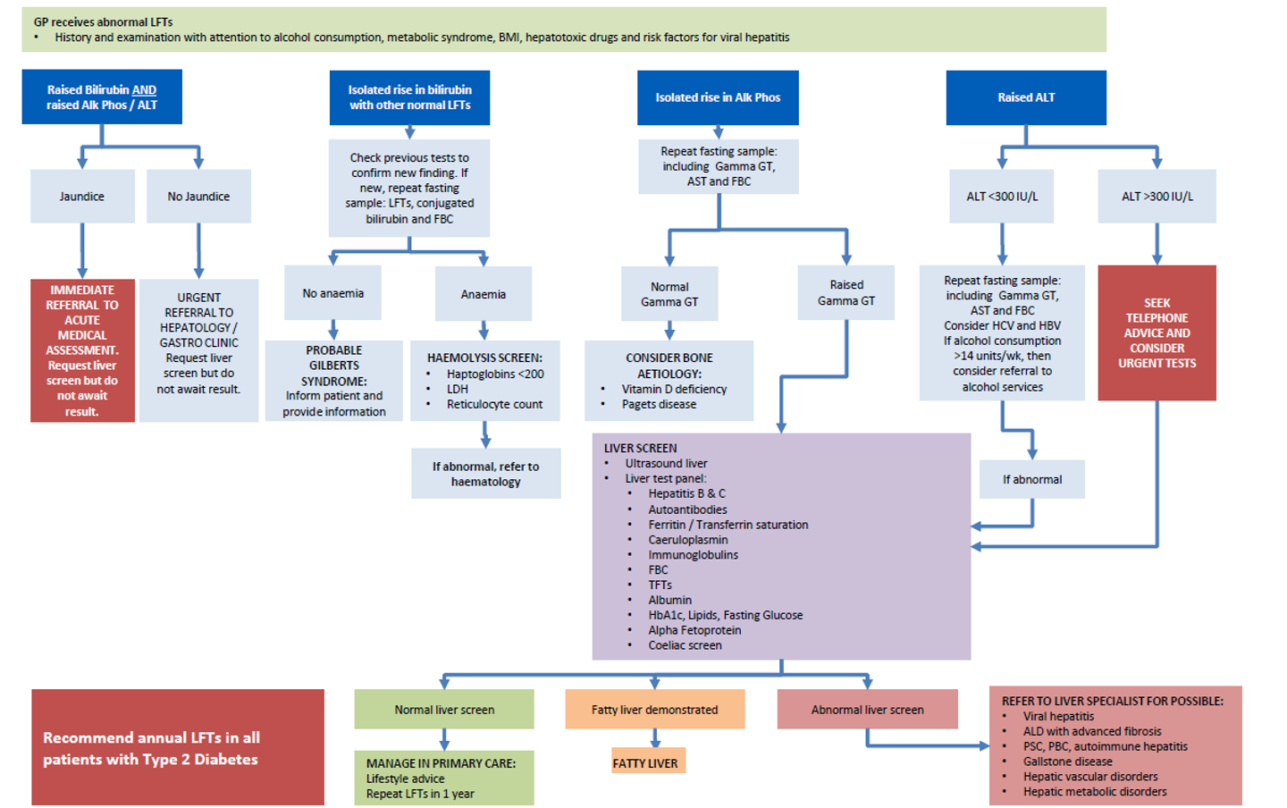 Abnormal liver function tests (LFTs) and diabetes – GPnotebook