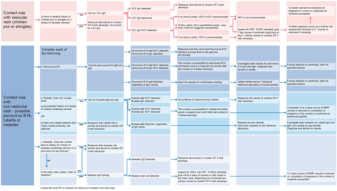 Rubella (in pregnancy) – GPnotebook