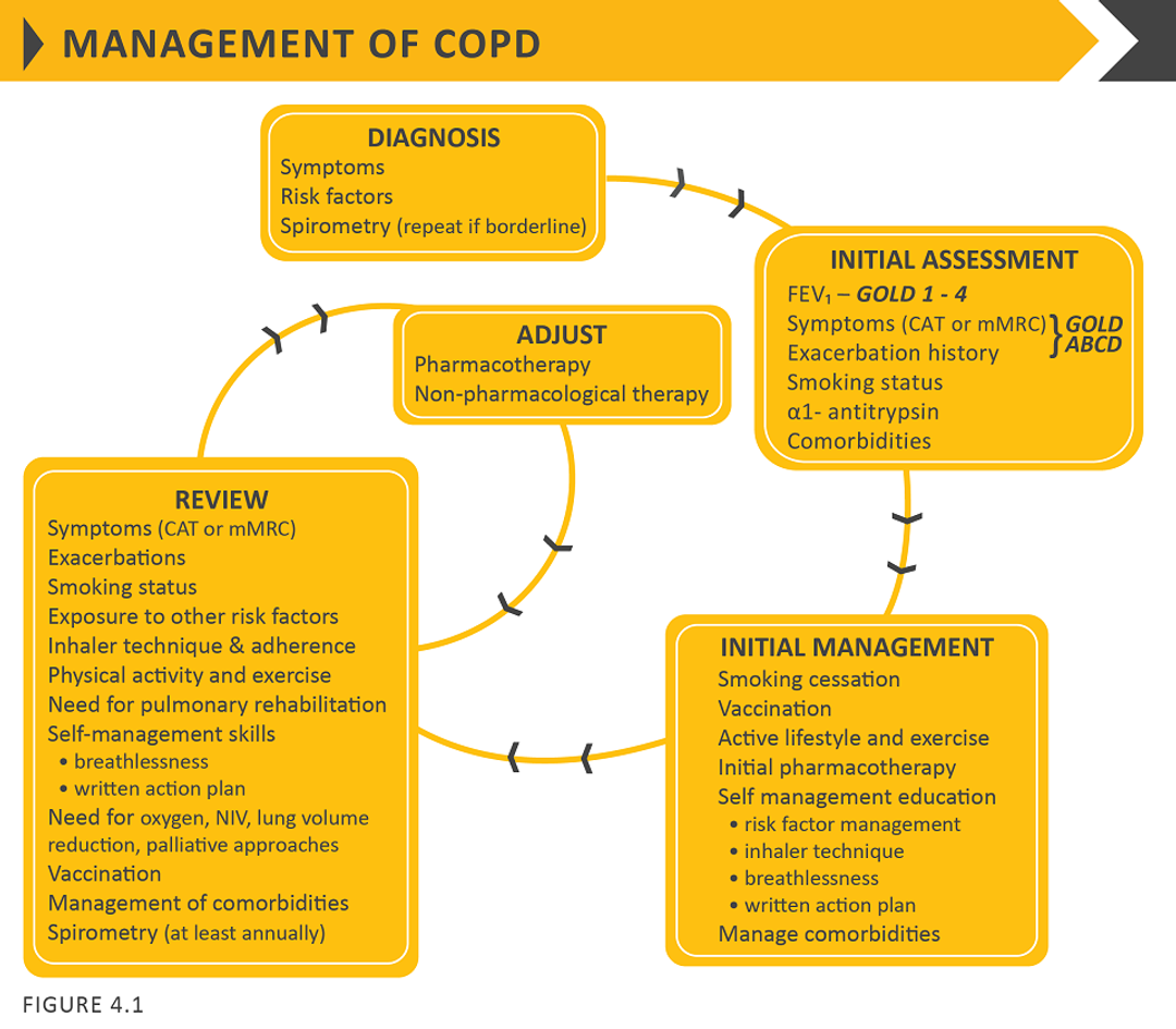 Management of stable COPD – GPnotebook