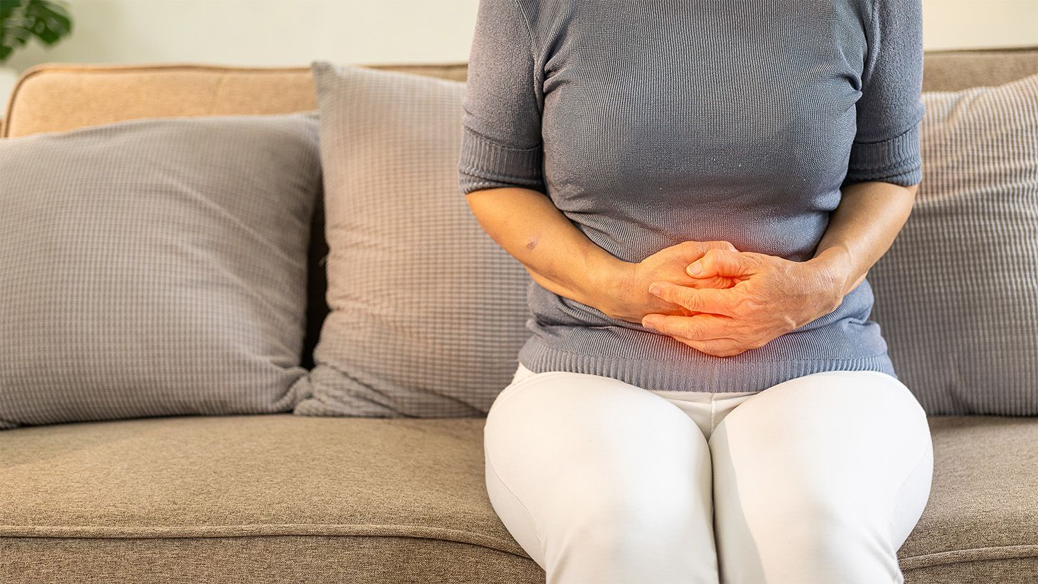 Inflammatory bowel disease: updates and guidance