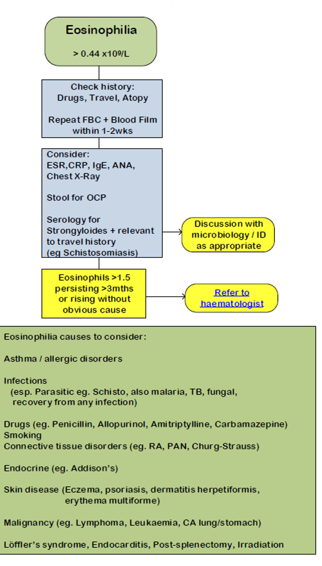 High white cell count (eosinophils) – GPnotebook