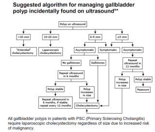 Gallbladder polyp – GPnotebook