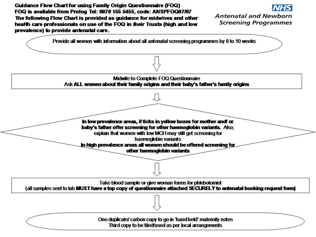 UK screening policy - haemoglobinopathy and Sickle cell disease ...