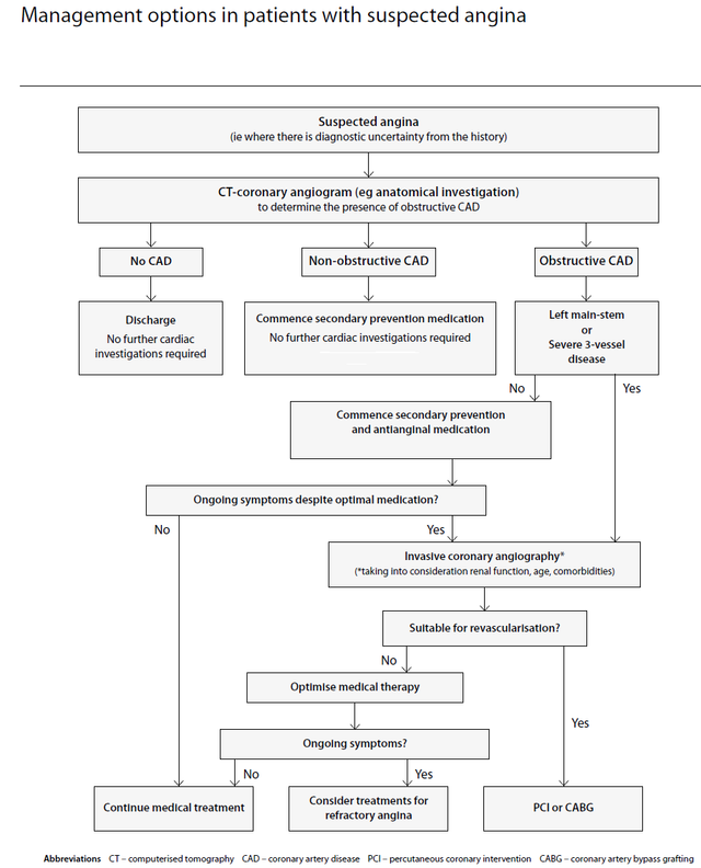 Angina pectoris – Primary Care Notebook - GPNotebook
