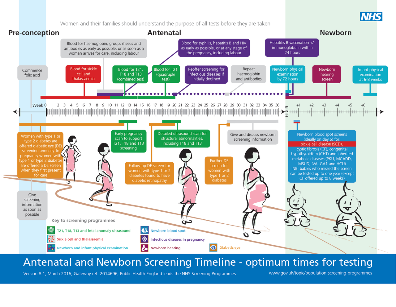 Antenatal and newborn screening – Primary Care Notebook