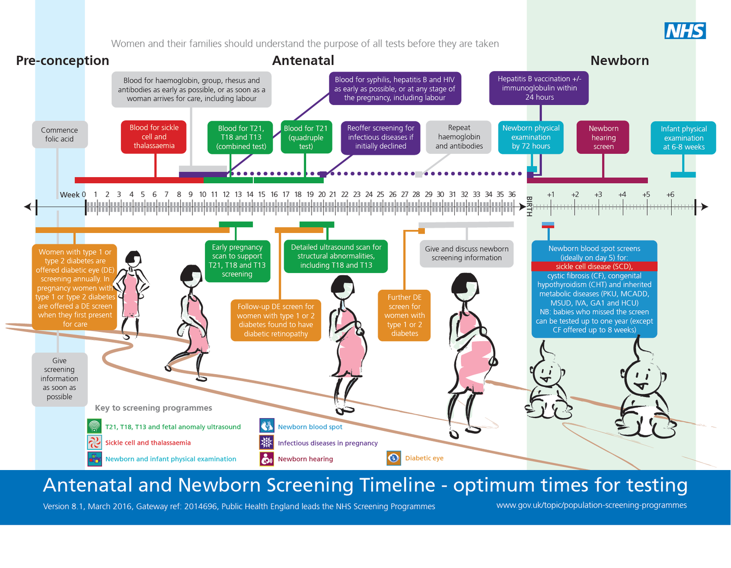 Antenatal and newborn screening – Primary Care Notebook - GPNotebook