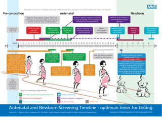 Antenatal and newborn screening – Primary Care Notebook - GPNotebook
