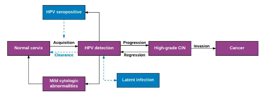 HPV - nouvelle infection ou réactivation ? – GPnotebook