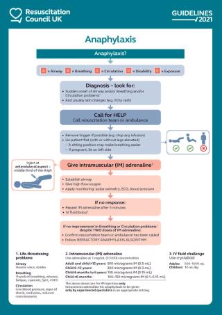 Management of anaphylactic shock – GPnotebook