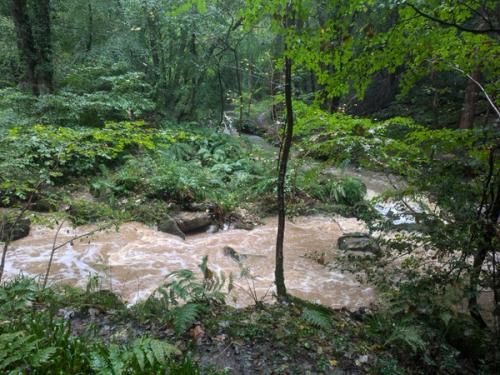 Christopher Goddard - The Yorkshire Map Maker | Weather Experience