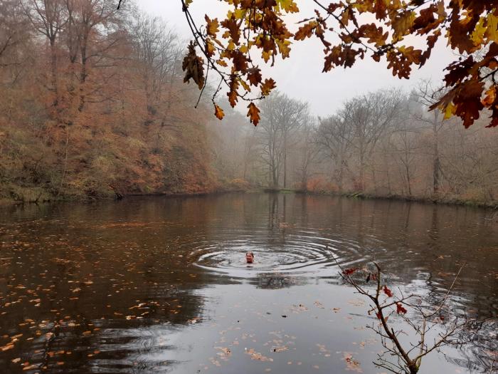 Christopher Goddard - The Yorkshire Map Maker | Access All Areas