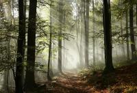 The Nordic Swan Ecolabel – the official Nordic Ecolabel. Find out more