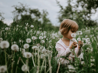 The Nordic Swan Ecolabel