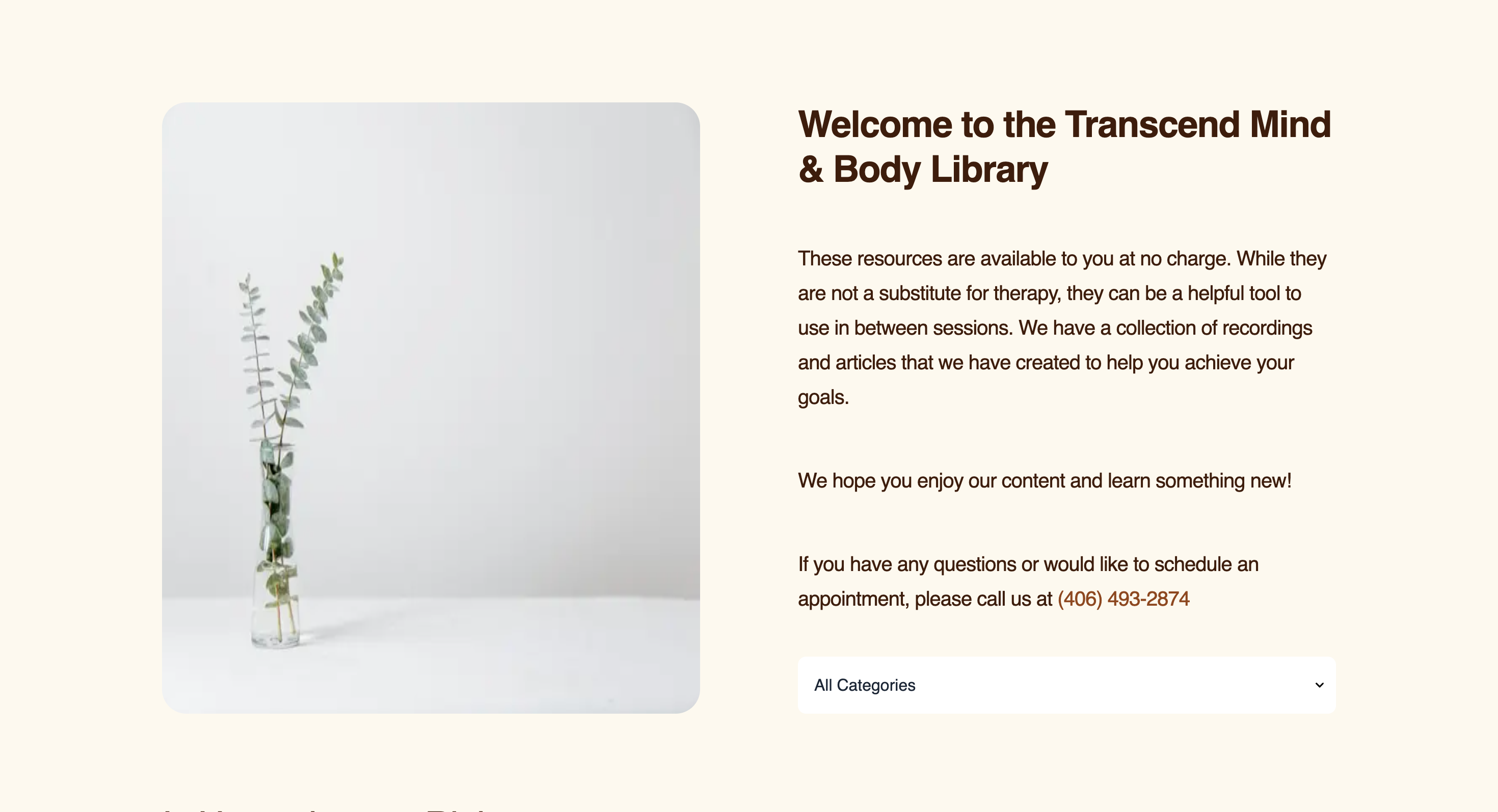 Transcend Mind & Body - made with Sanity.io