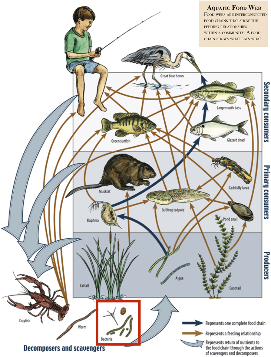 Hierarchies, Graphs, and Navigation Hierarchies, Graphs, and Navigation