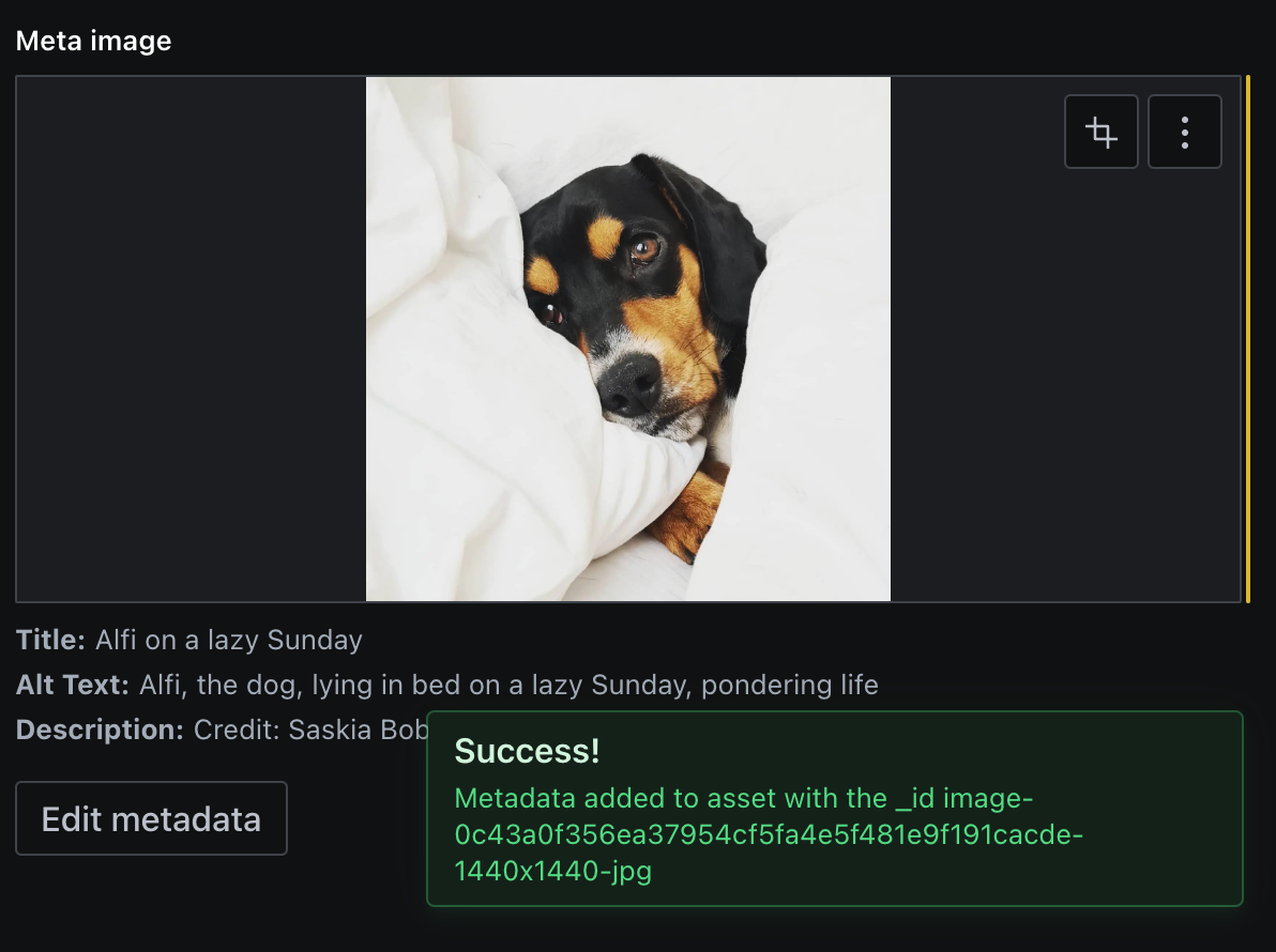 Learn How To Build An Awesome Image Custom Input Component For Metadata