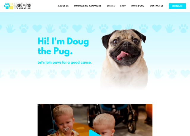Doug the Pug Foundation - made with Sanity.io
