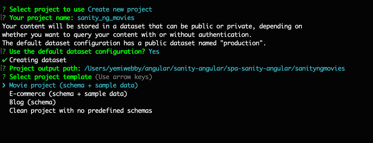 How to Create a Single Page Application with Angular | Sanity.io guide
