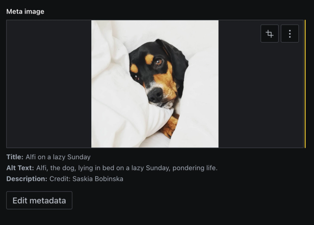 Learn how to build an awesome image custom input component for metadata Learn how to build an awesome image custom input component for metadata