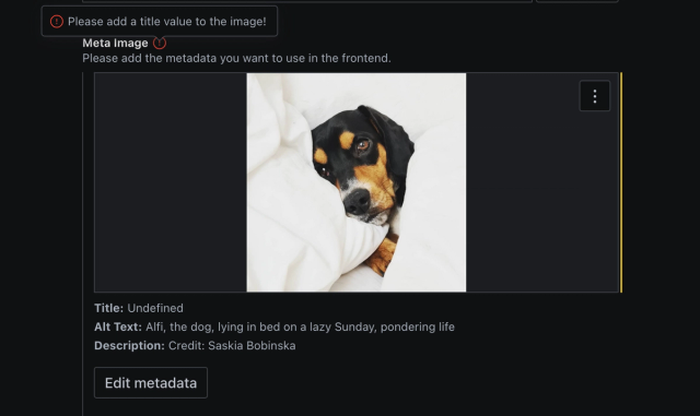 Learn how to build an awesome image custom input component for metadata