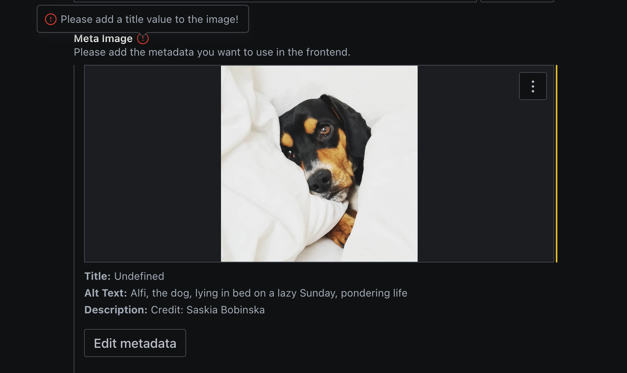 Learn how to build an awesome image custom input component for metadata