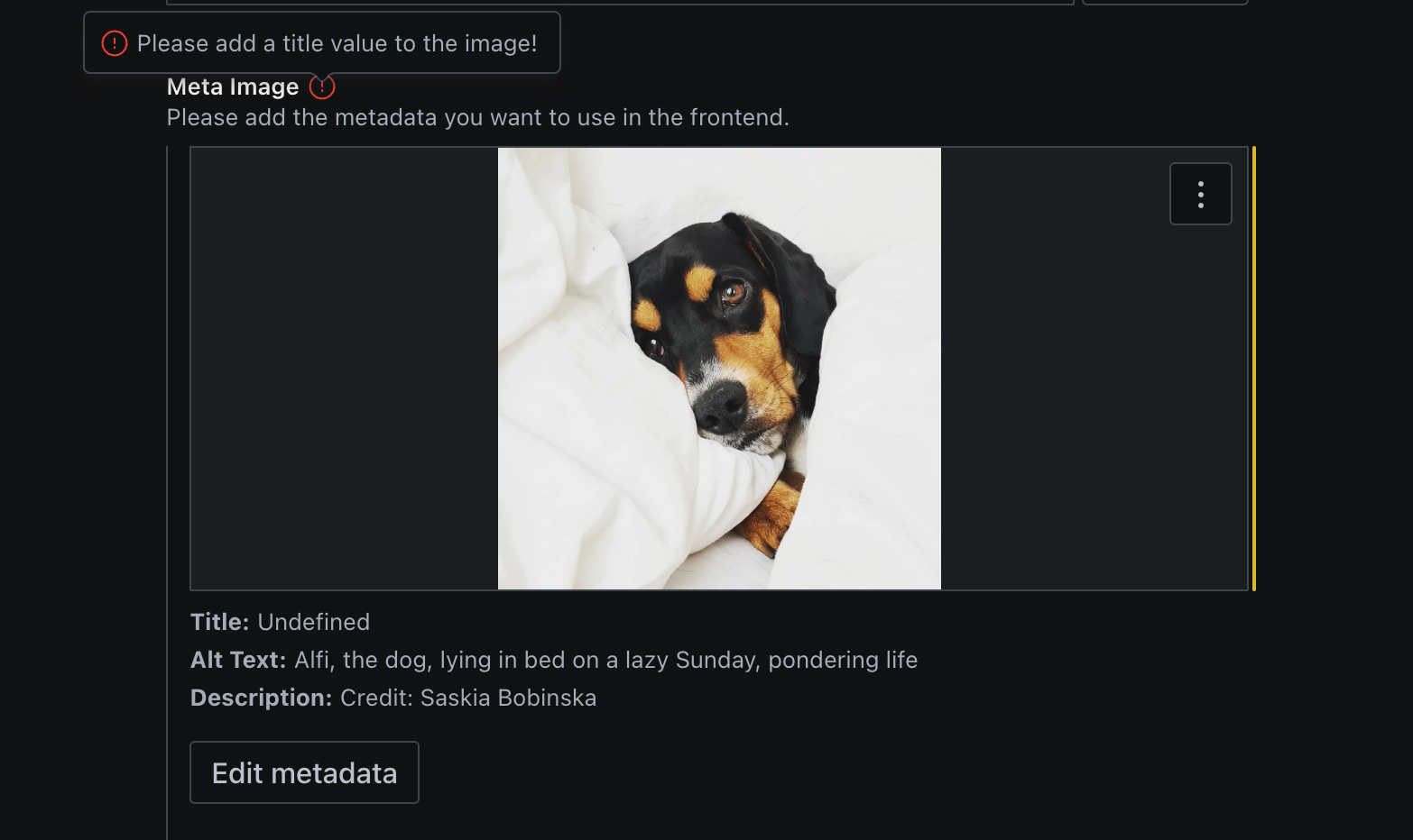 Learn how to build an awesome image custom input component for metadata Learn how to build an awesome image custom input component for metadata