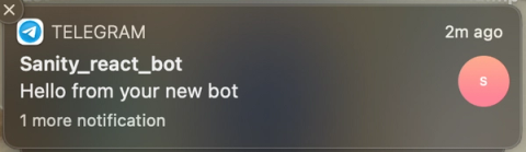 Add the Telegram Messaging API to your React application | Sanity.io guide
