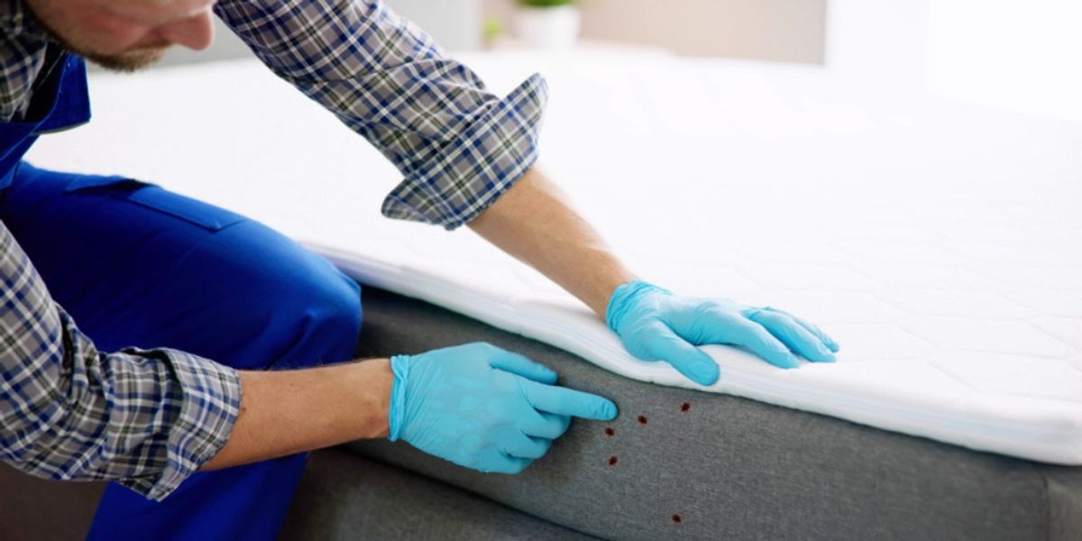 What You Should Expect From Professional Heat Treatment