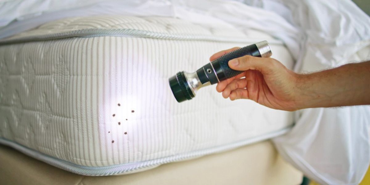 What You Should Expect From Professional Heat Treatment