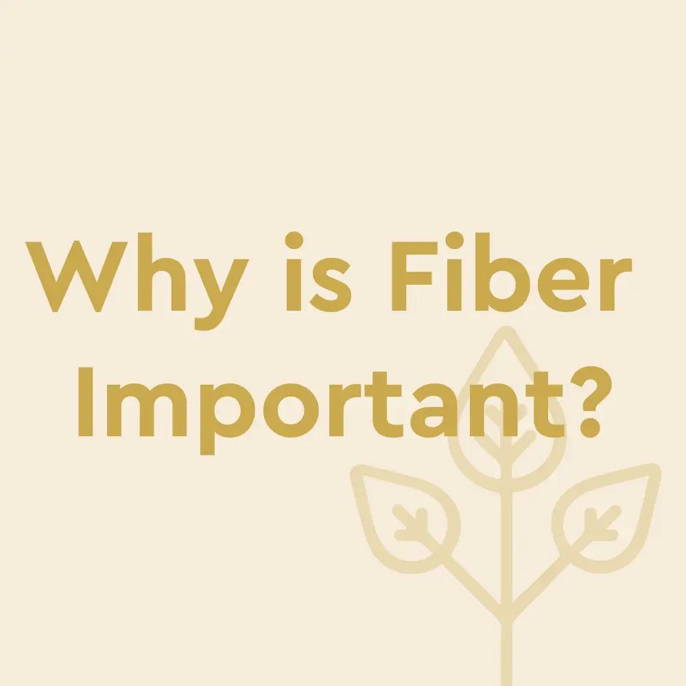 Why is Fiber Important?