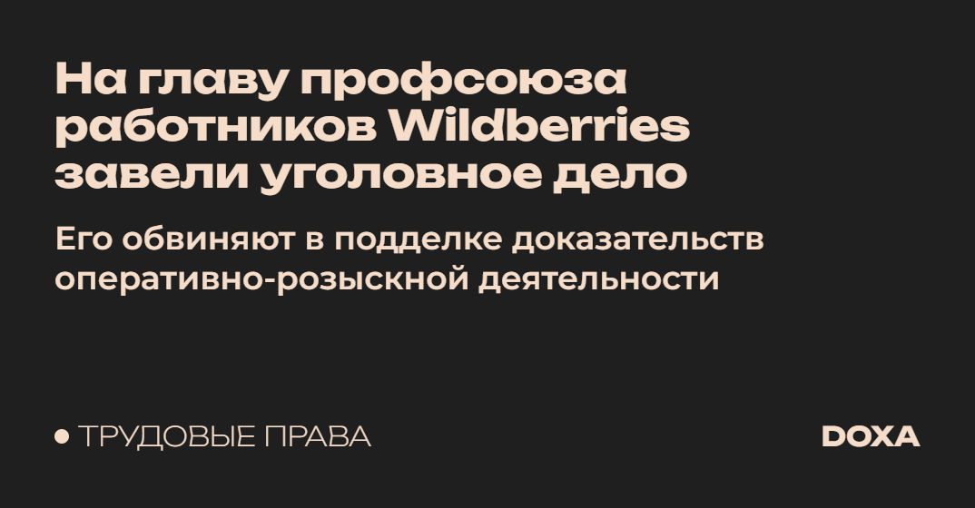На главу профсоюза работников Wildberries завели уголовное дело — DOXA