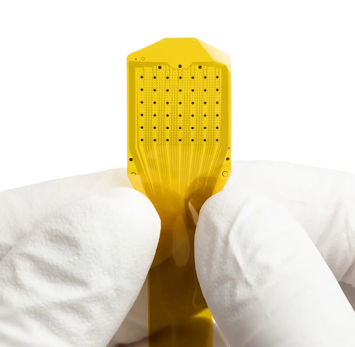 Precision Neuroscience and SCI Ventures Partner to Bring Brain—Computer ...