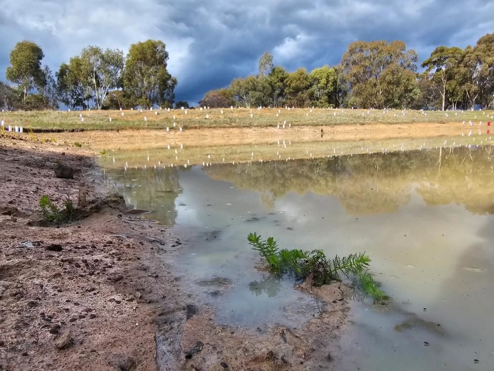 Transforming Farm Dams | Project Platypus