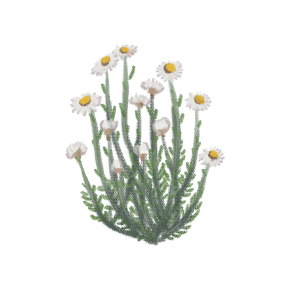 Our Story | Project Platypus