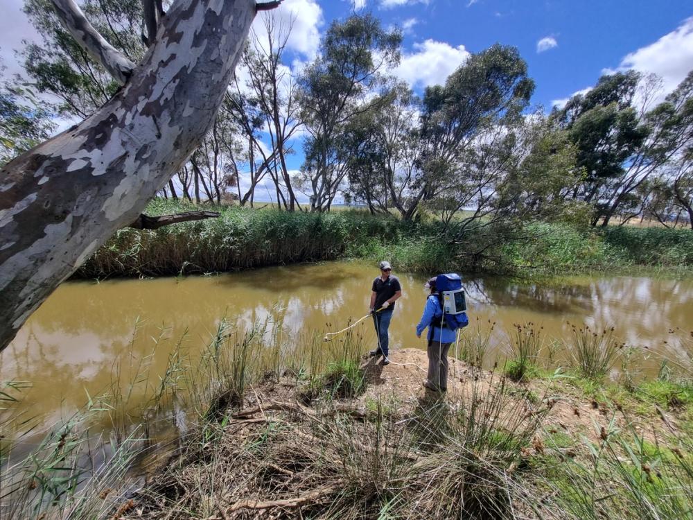 eDNA reveals which animal species are living in our local waterways ...