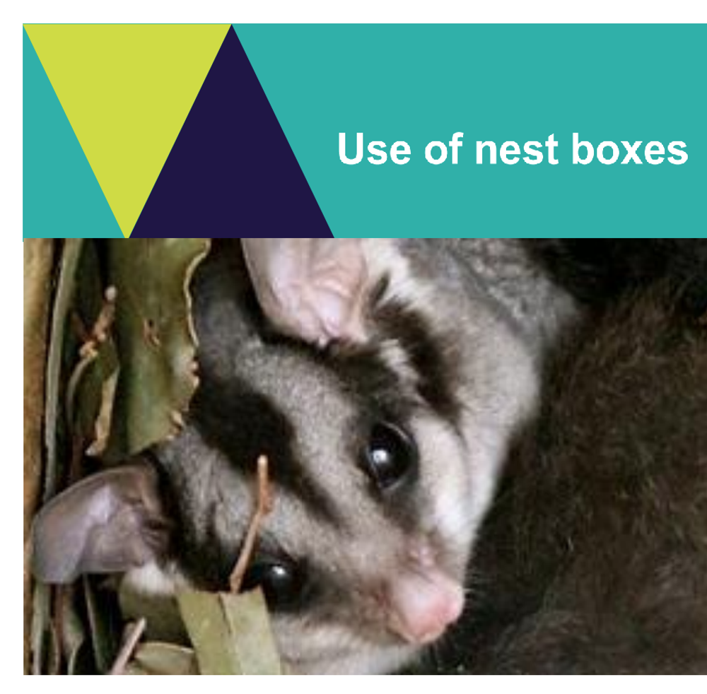 null | Project Platypus