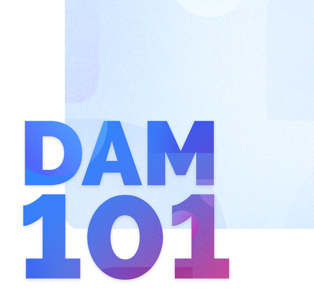 Driving Distribution: Top Strategies for Sharing Assets