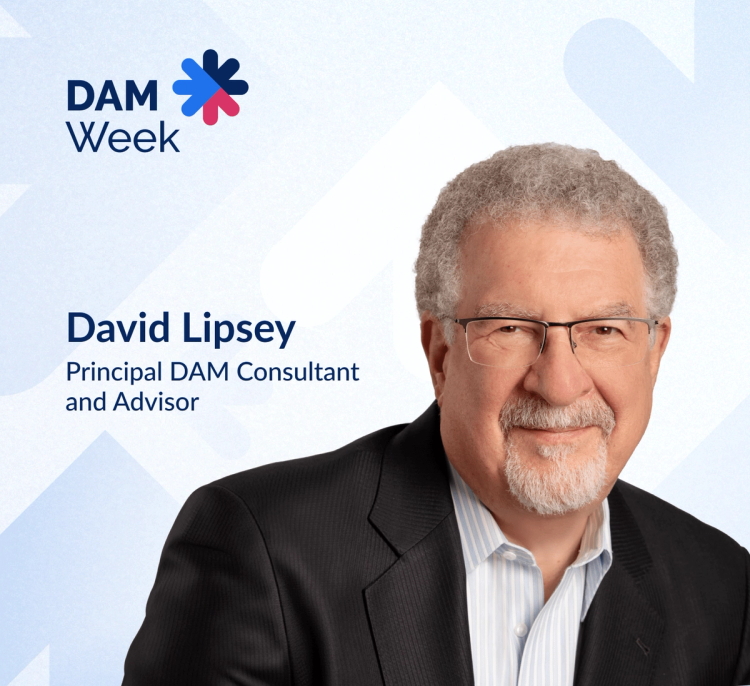 The DAM Capability Model - Your 11-Step Guide to DAM Evolution