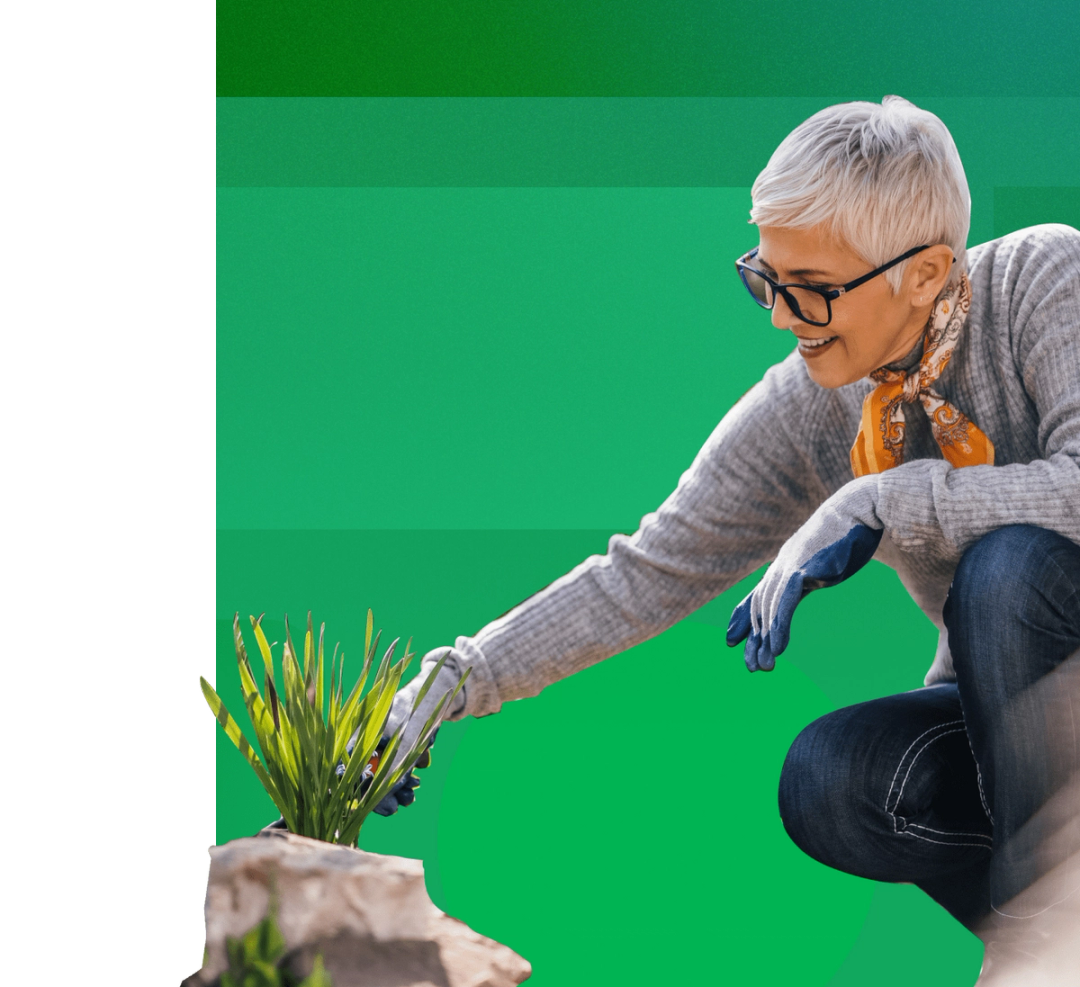 Knute Nelson - MediaValet Case Study