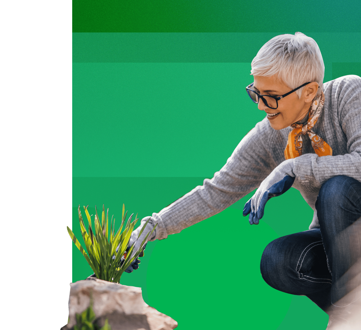 Knute Nelson - MediaValet Case Study