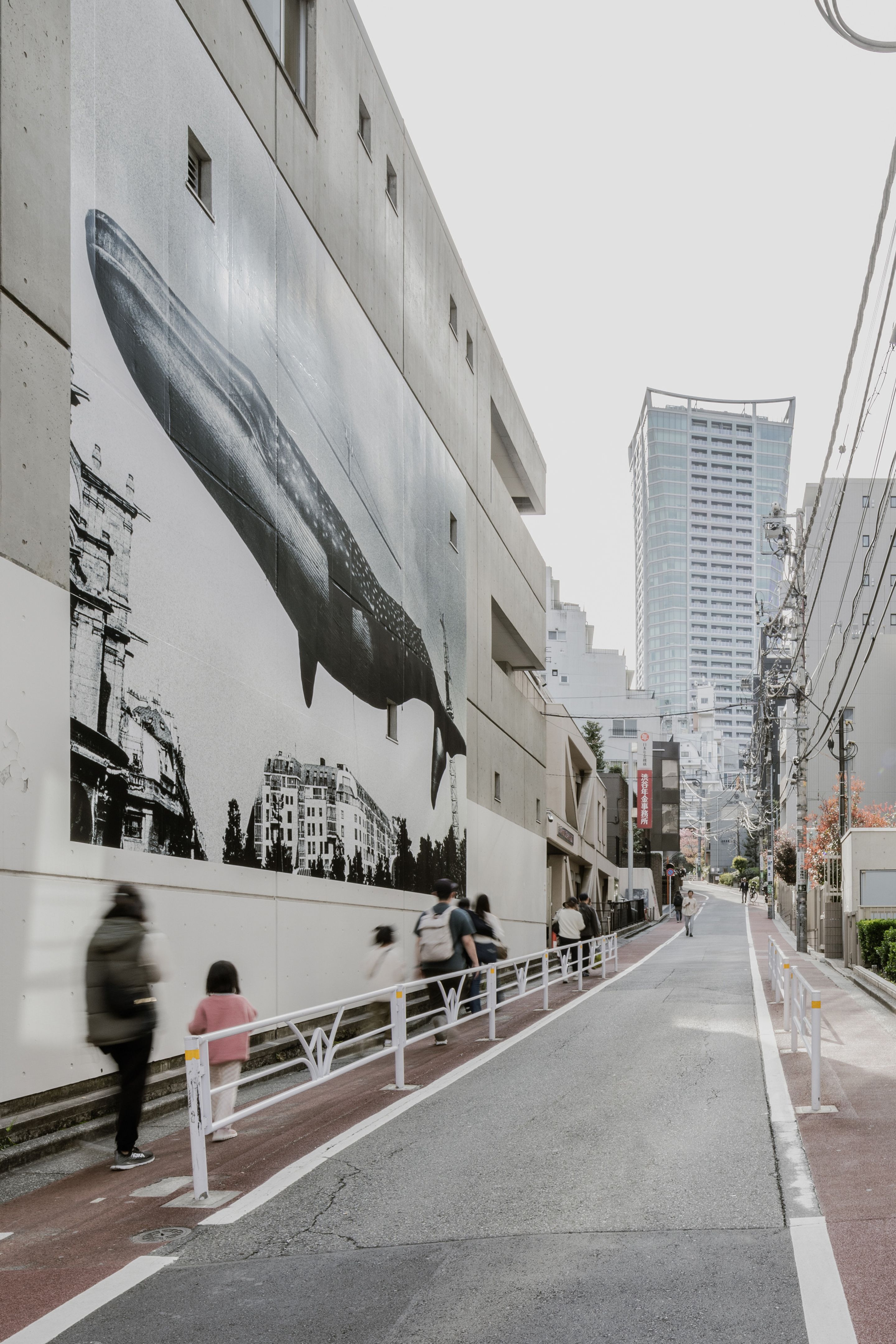 Daidō Moriyama - Untitled → Meiji Shrine / Yoyogi Park | Shibuya Arrow Project · シブヤ・アロープロジェクト