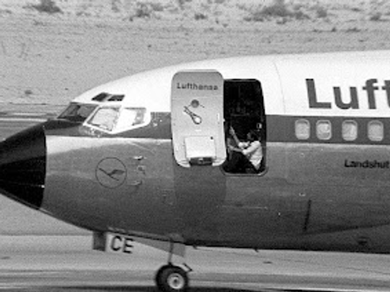 Wute AS - Project Success Enablers