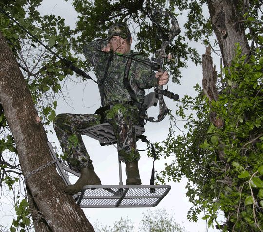 Metallurgy Expert Witness Advises on Tree Stand Failure that Results in ...