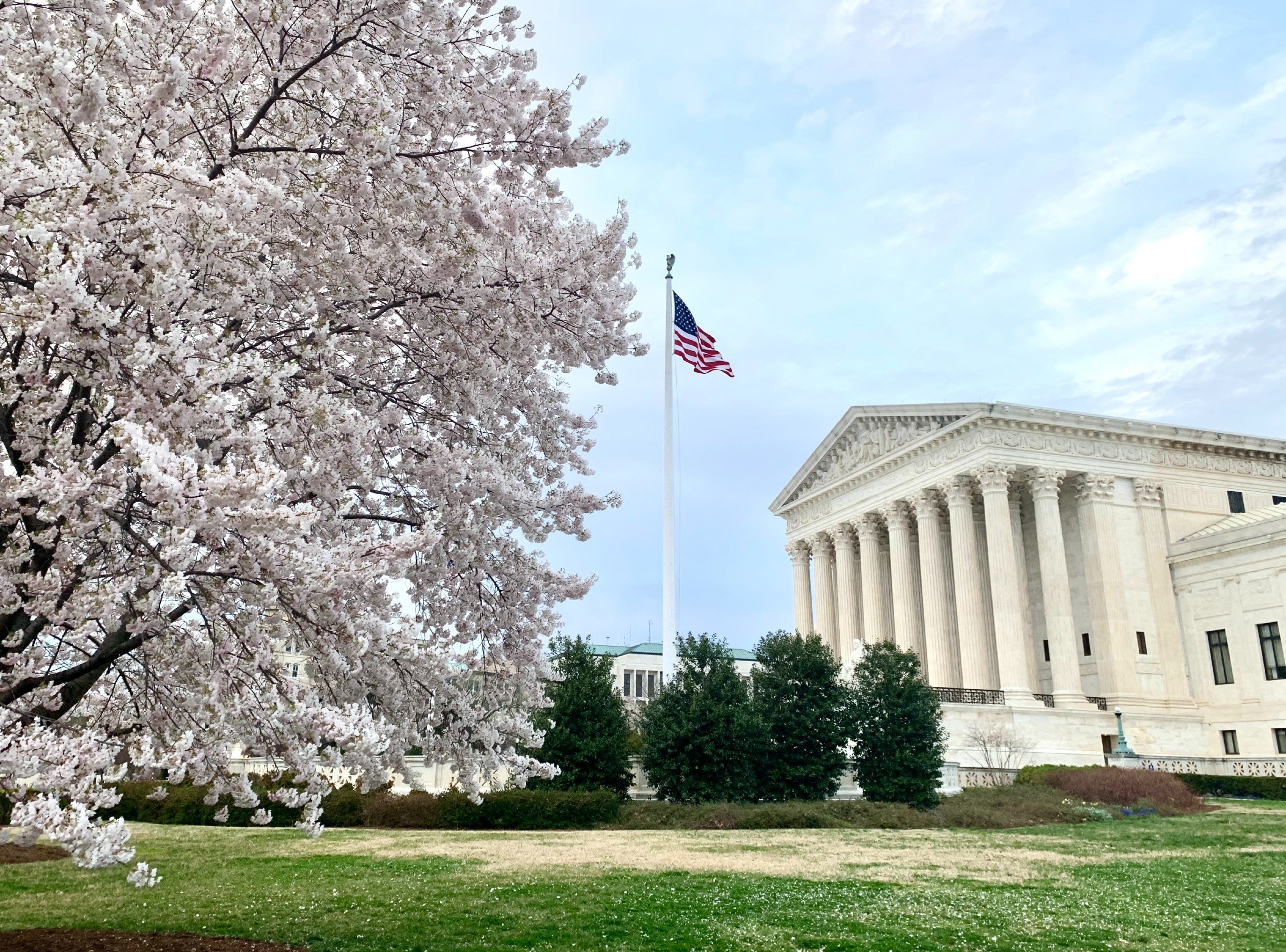 Litigation Trends in the Post COVID-19 World