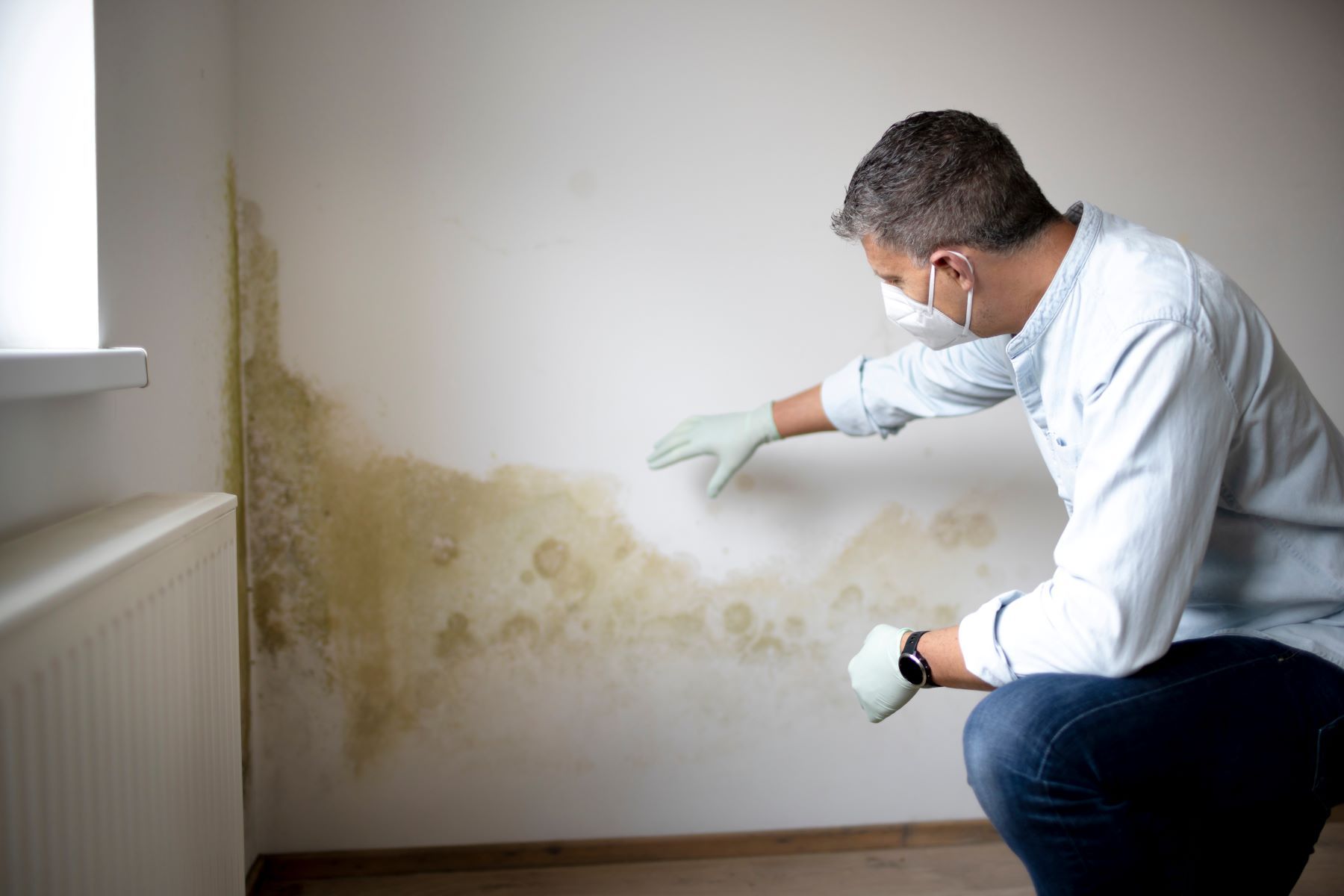 Residential Mold Exposure Leads to Tenant Health Issues | Case Study