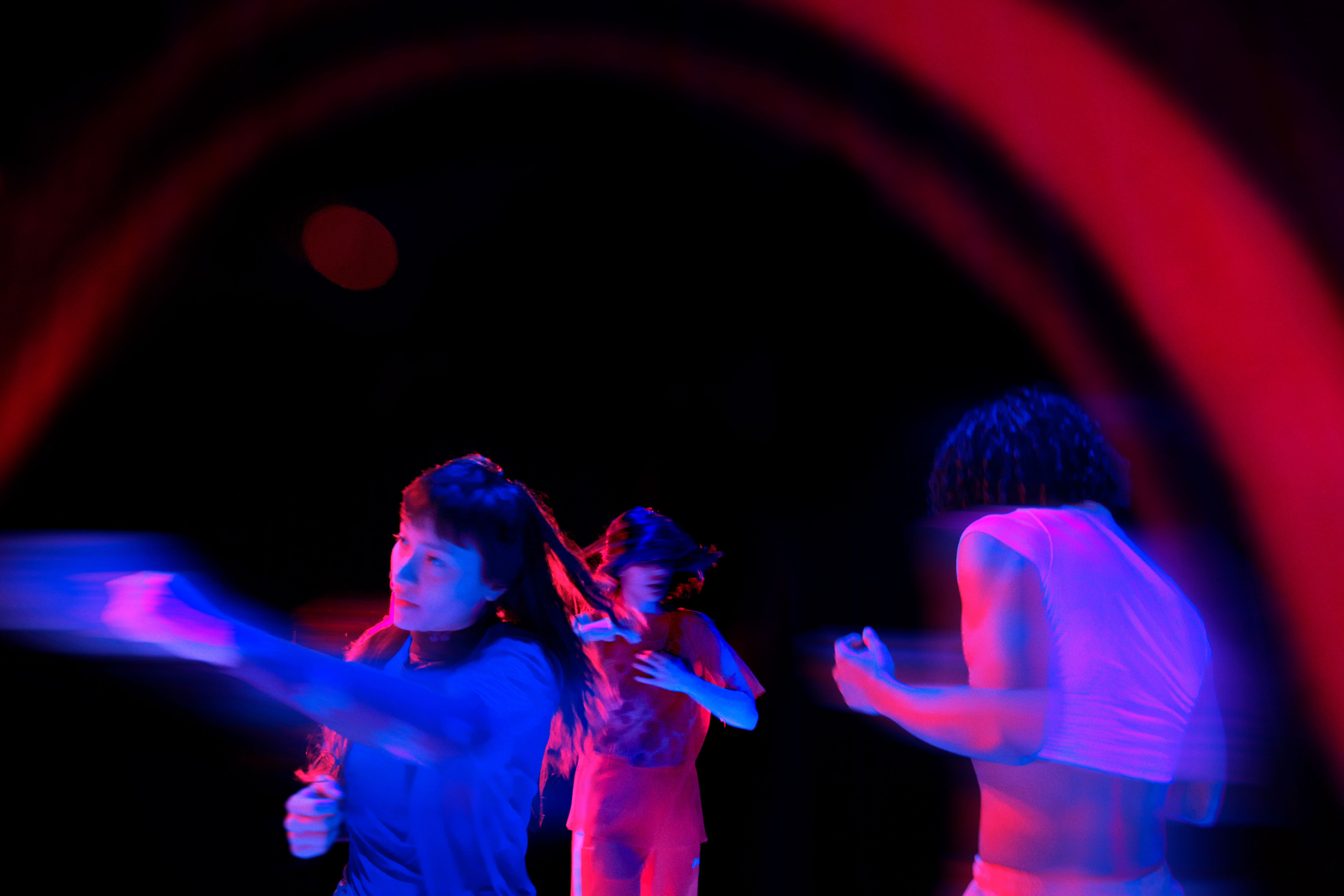 Dog Rising by Clara Furey | Springboard Performance | Springboard ...