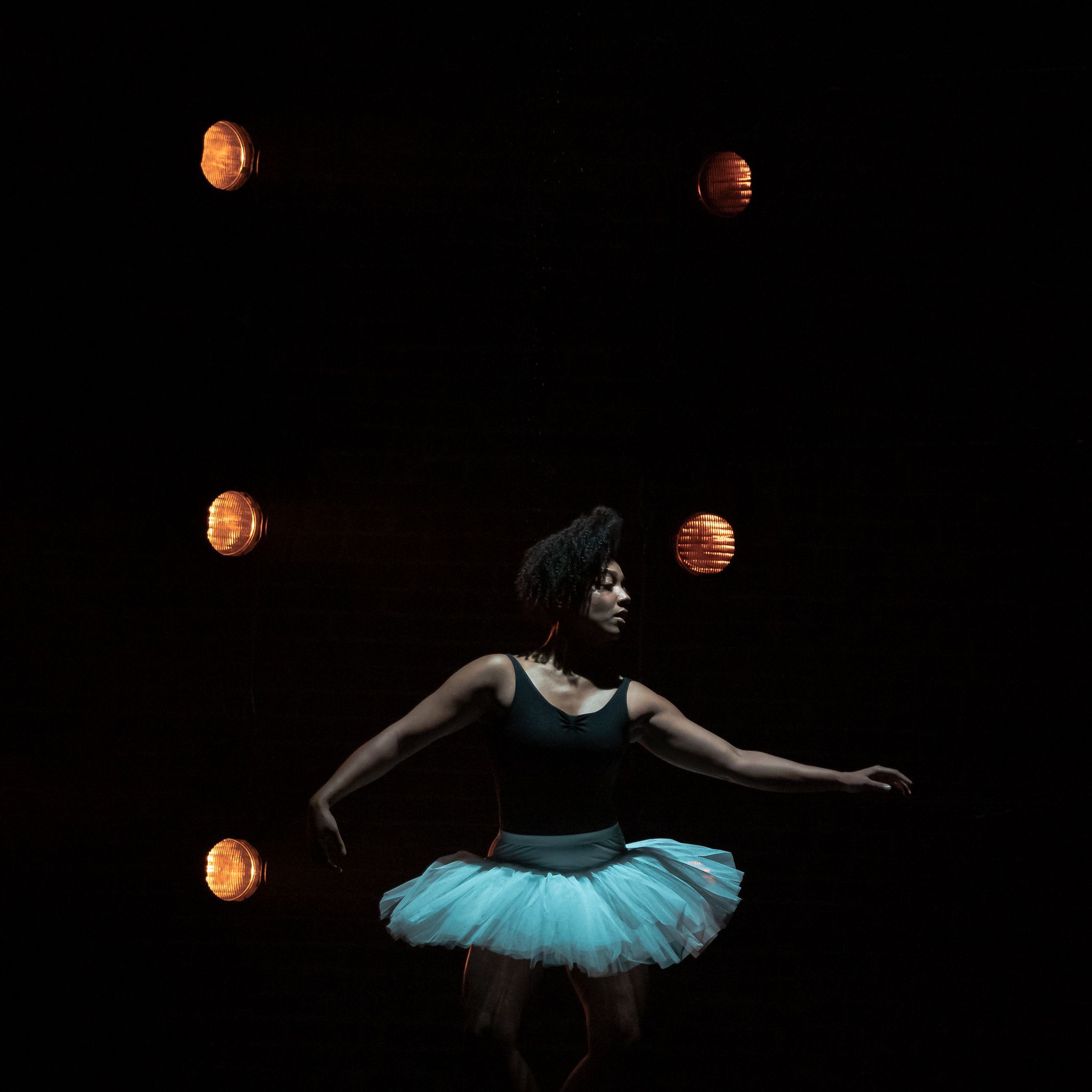 Springboard Performance | Springboard Performance