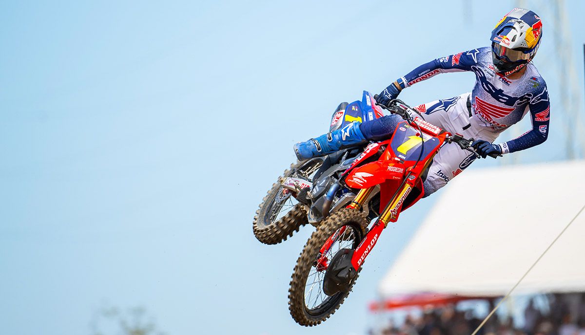 MX Large